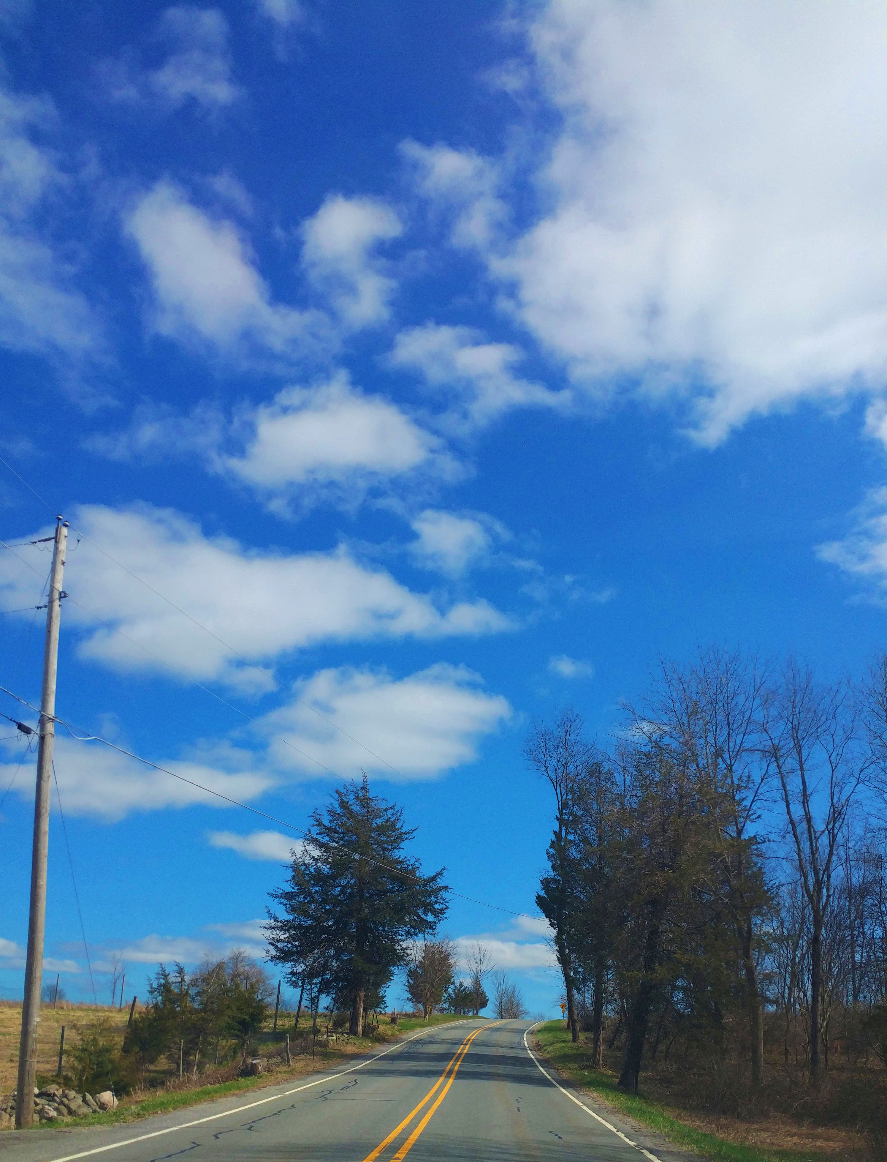 Snow Pool Mosquito Habitat – Diana Carle, PhD