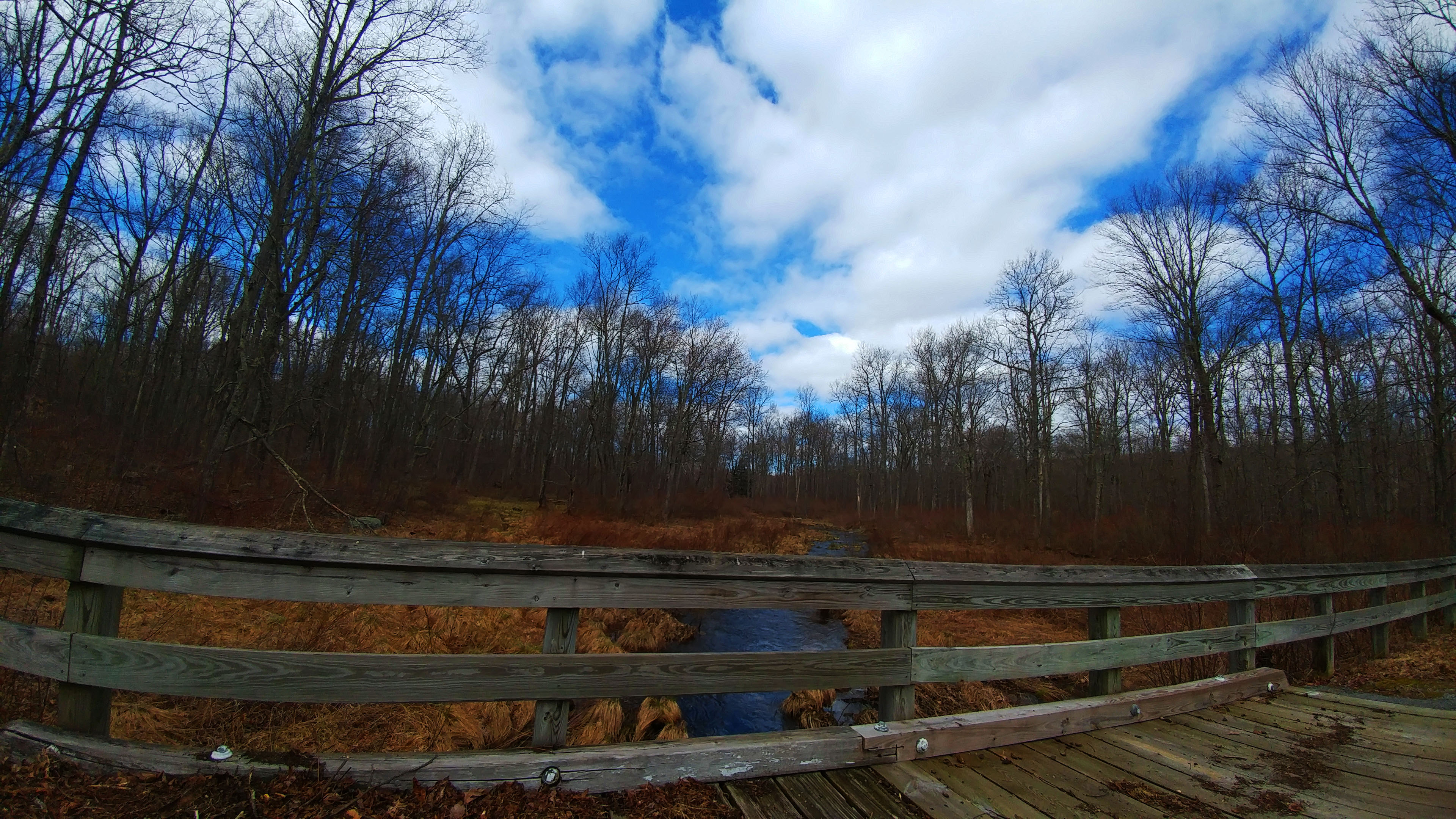 Snow Pool Mosquito Habitat – Diana Carle, PhD