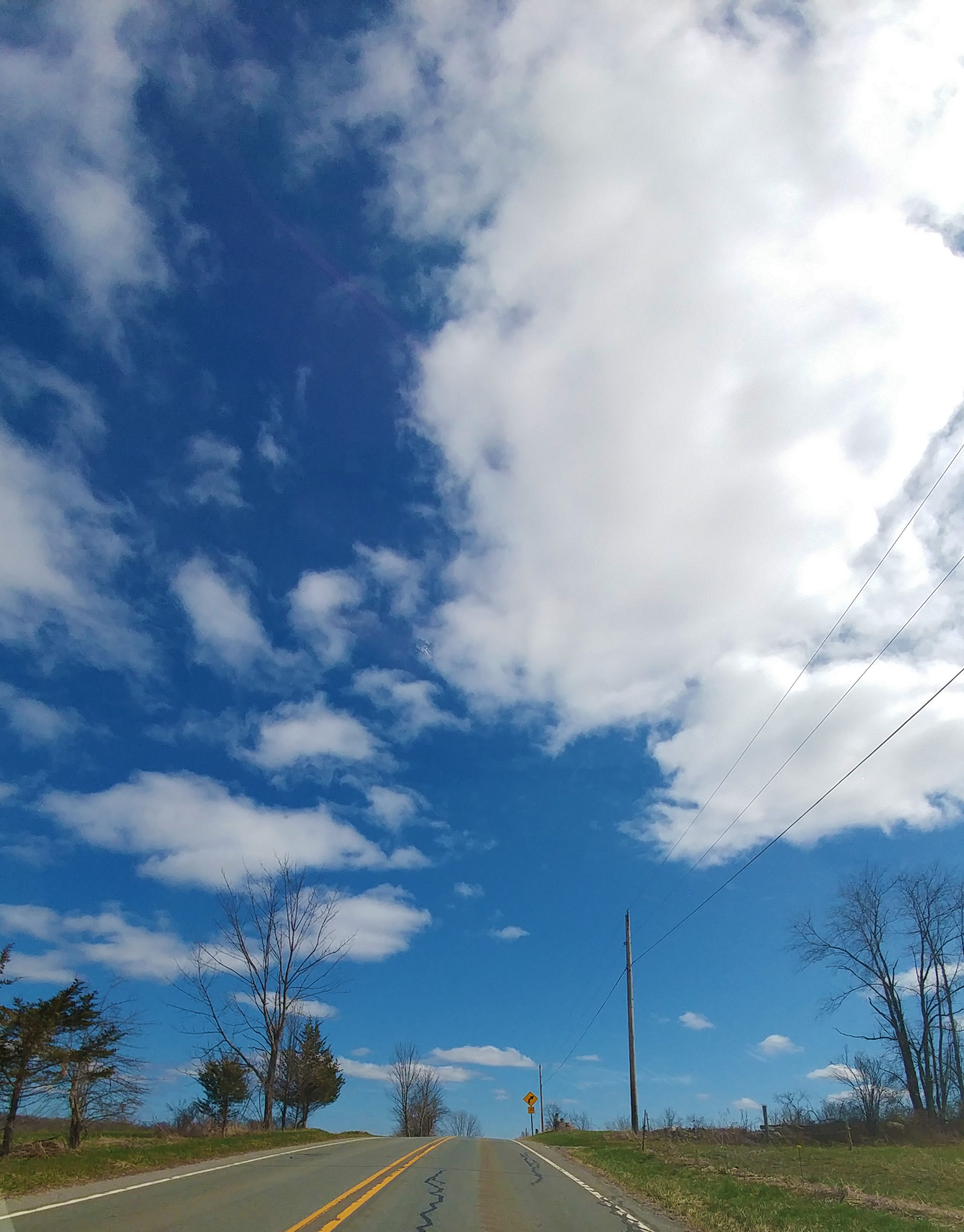 Snow Pool Mosquito Habitat – Diana Carle, PhD